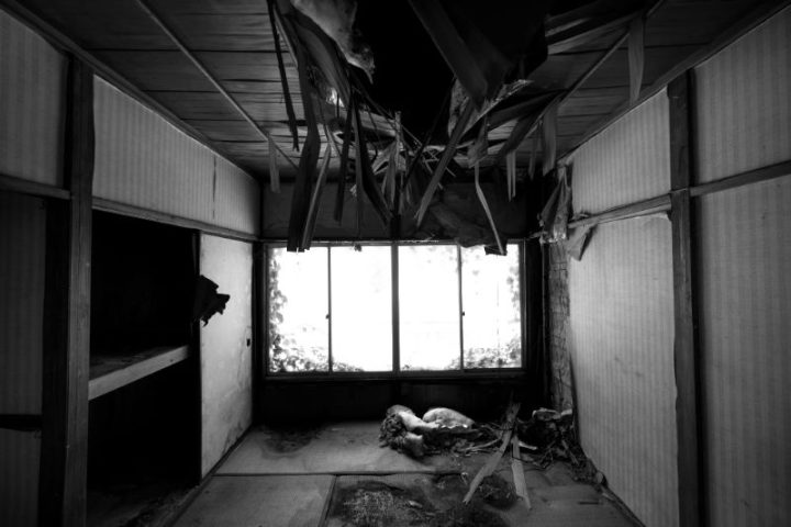 The Health Risks of Poor Home Environment and How to Fix Them